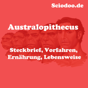 Wer war Homo rudolfensis: Steckbrief, Fragen und Antworten - Geschichte ...