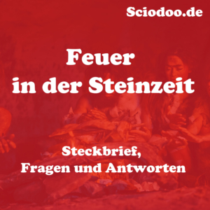 Was war Australopithecus: Steckbrief, Fragen und Antworten - Geschichte ...