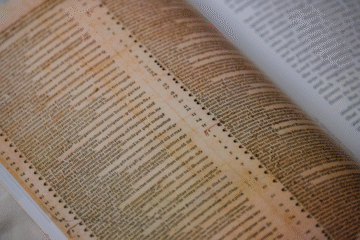 Luthers 95 Thesen einfach erklärt mit Steckbrief & Video - Geschichte ...