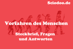 Wiege der Menschheit einfach erklärt mit Steckbrief - Geschichte (Sciodoo)
