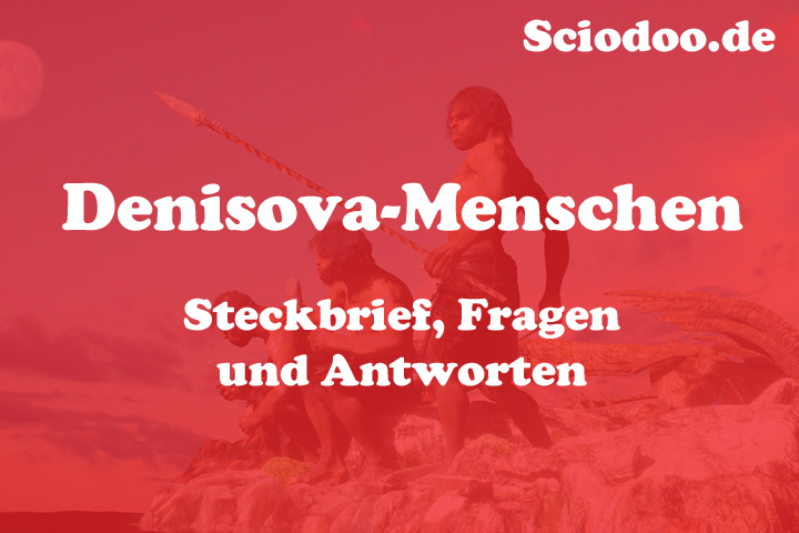 Denisova-Menschen einfach erklärt mit Steckbrief - Geschichte (Sciodoo)