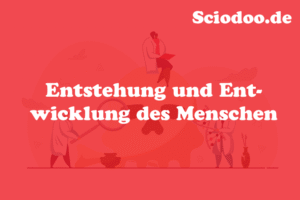 Was bedeutet Homo erectus: Steckbrief, Fragen & Antworten - Geschichte ...