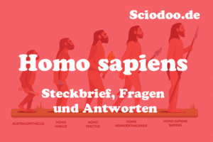 Letzte Eiszeit einfach erklärt mit Steckbrief - Geschichte (Sciodoo)