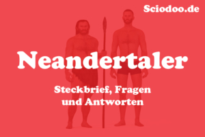 Was war Australopithecus: Steckbrief, Fragen und Antworten - Geschichte ...