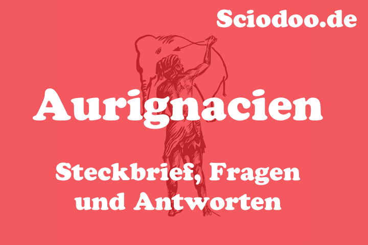 Aurignacien einfach erklärt mit Steckbrief - Geschichte (Sciodoo)